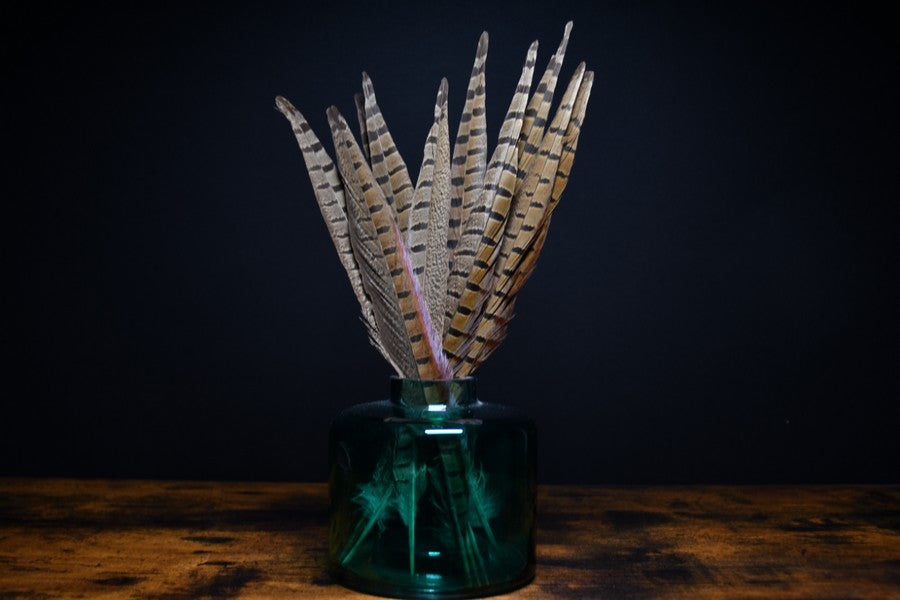 Large Feathers (8 to 16 inches) - Authentic Feathers