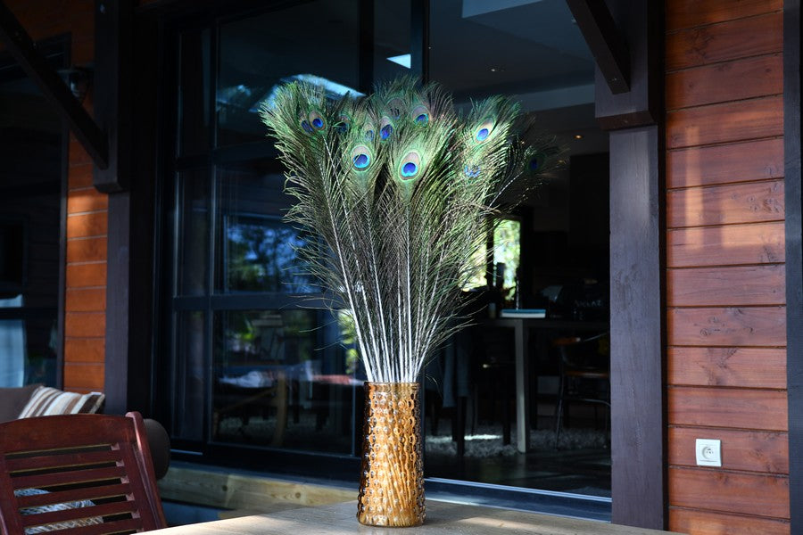Very Large Feathers (+16 inches) - Authentic Feathers