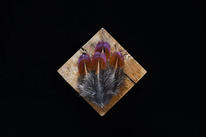 Common Pheasant Feathers - Authentic Feathers