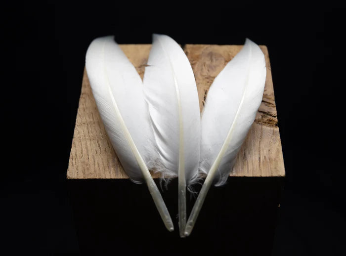Curved White Goose Feathers - 4.5 to 6 in - Authentic Feathers