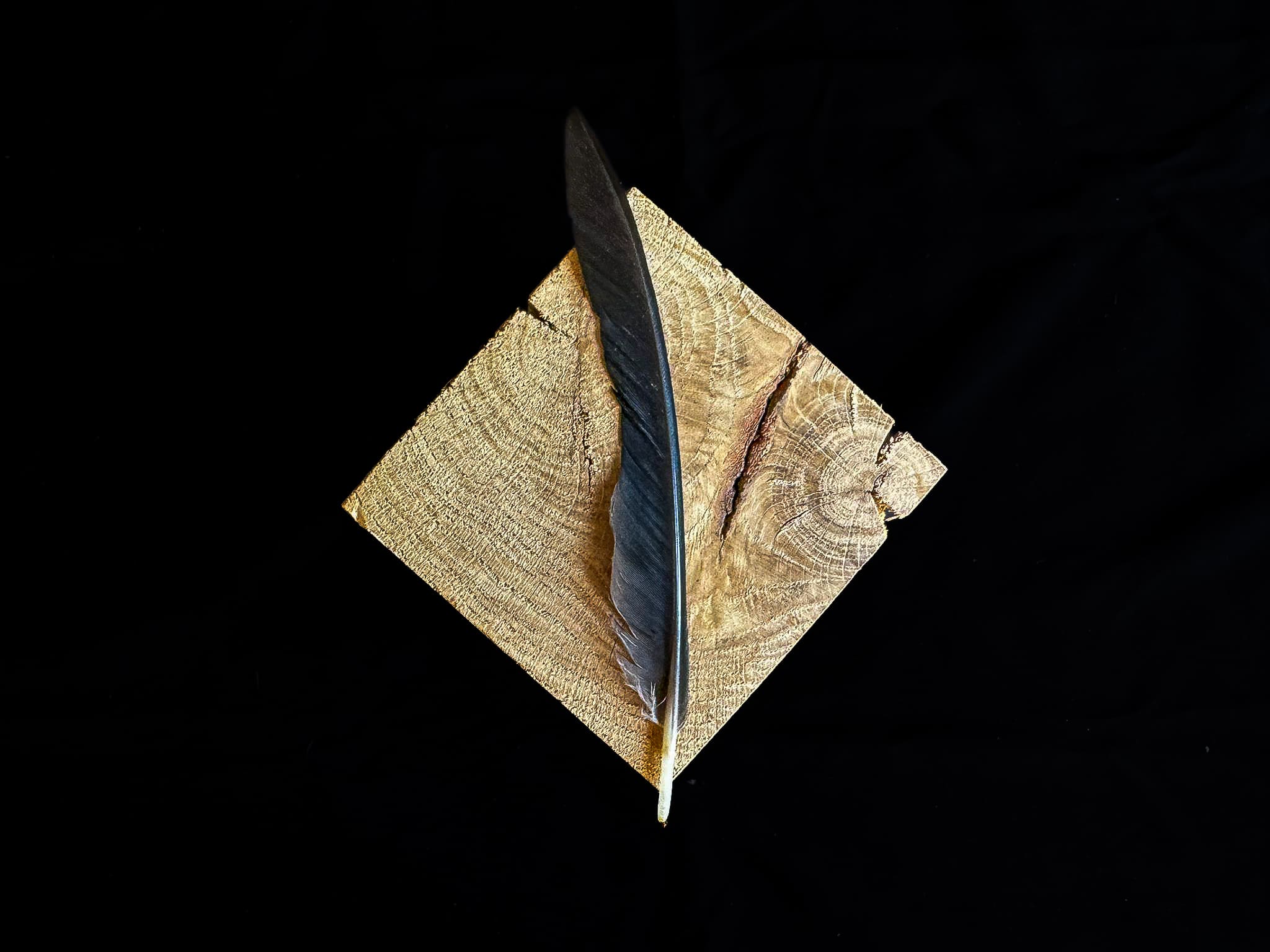 Small Crow Wing Feathers 5 to 6 in - Authentic Feathers