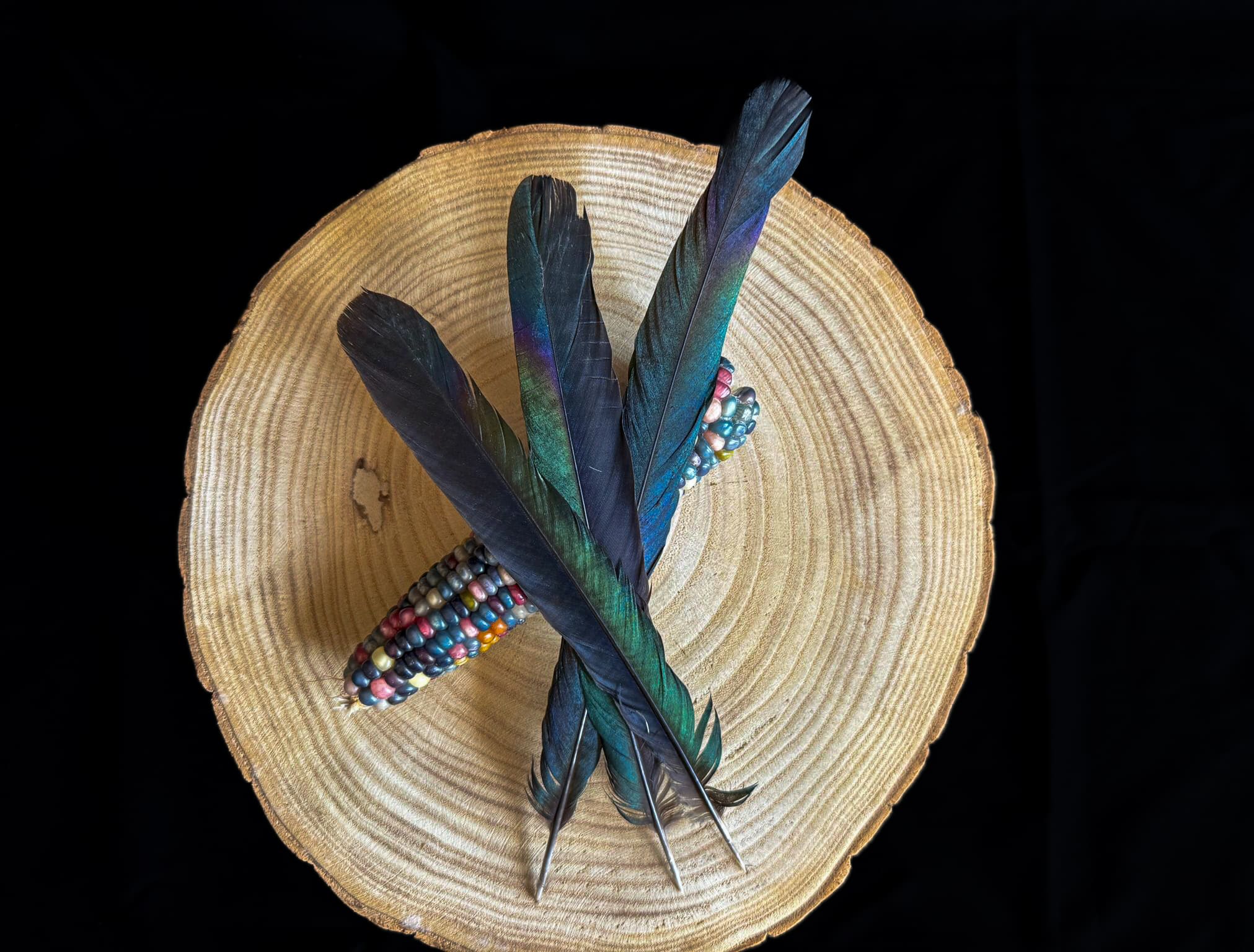 Large Magpie Tail Feather with Blue-Green Sheen 7 to 10 in (Single ...