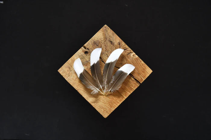 Small Gray and White Duck Feathers - 1.5 to 2 in - Authentic Feathers