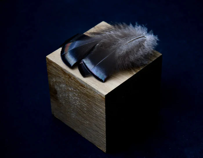 Small Turkey Feathers - 2.4 to 3.2 in - Authentic Feathers